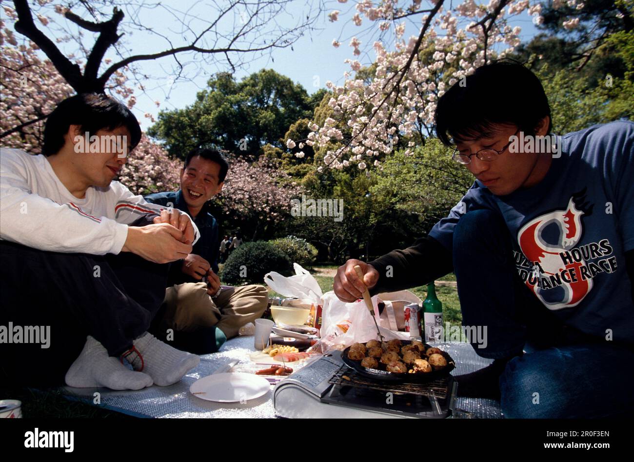 Kirschbluete japan hi-res stock photography and images - Alamy