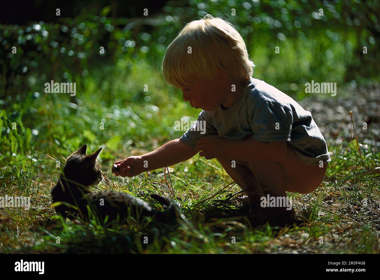 Kid katze hi-res stock photography and images - Alamy