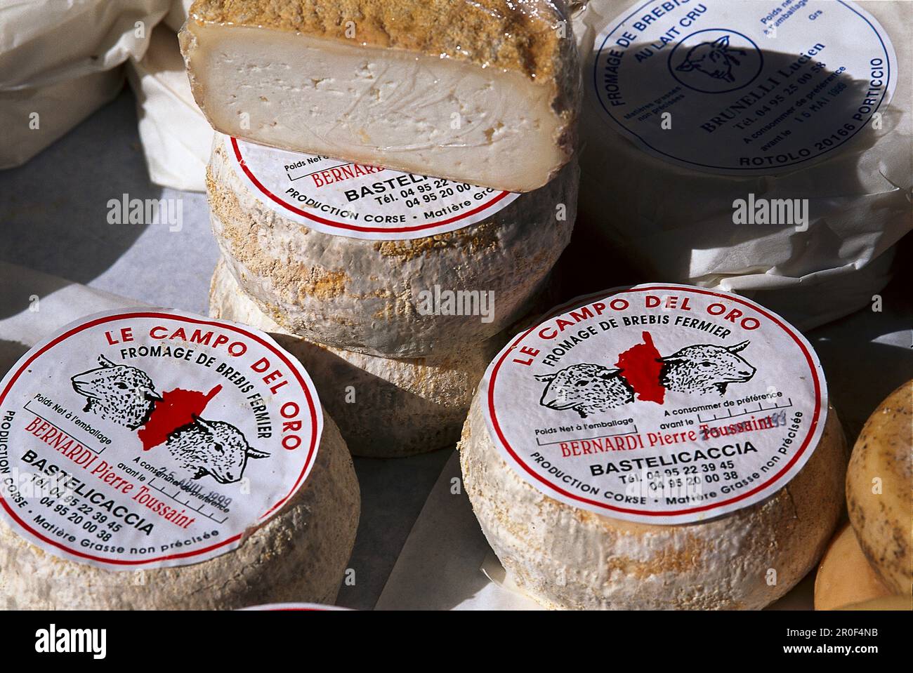 Goats cheese, Delicacy, Corsica, France Stock Photo - Alamy