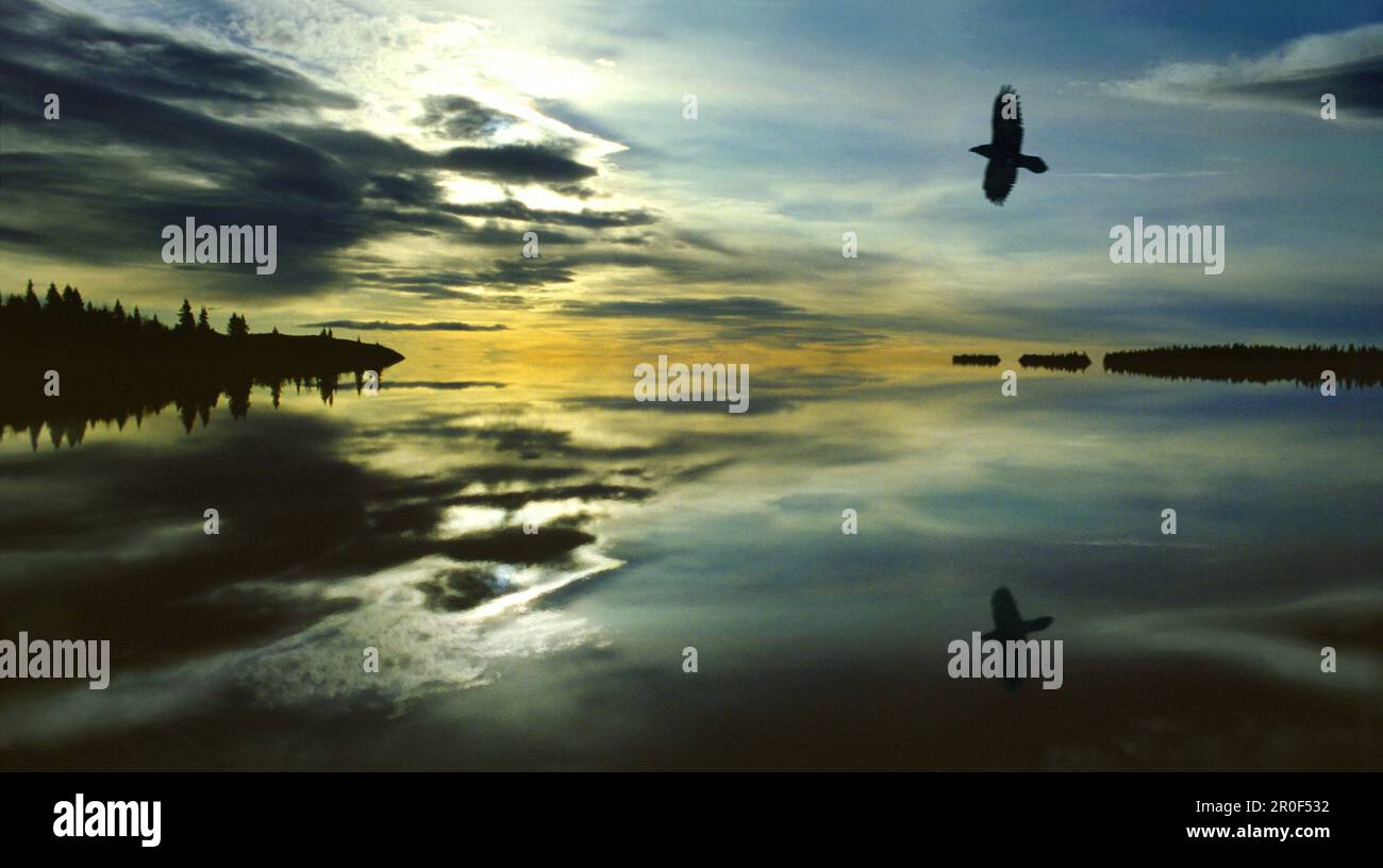 Crow symbolism hi-res stock photography and images - Alamy