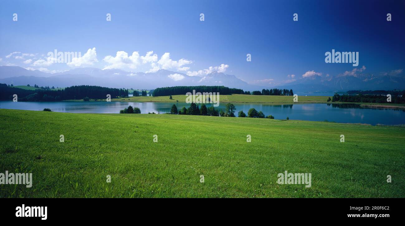 Lake Forggensee, Allgaeu, Bavaria, Germany Stock Photo - Alamy