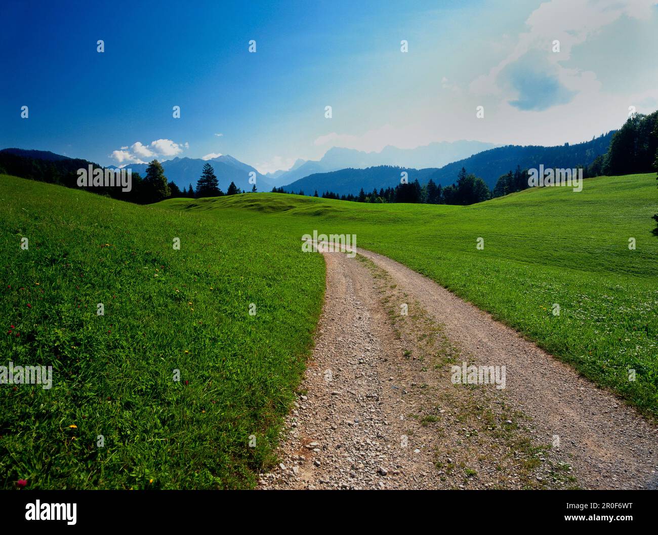 Path through meadows, Werdenfelser Land, Upper Bavaria, Germany Stock ...