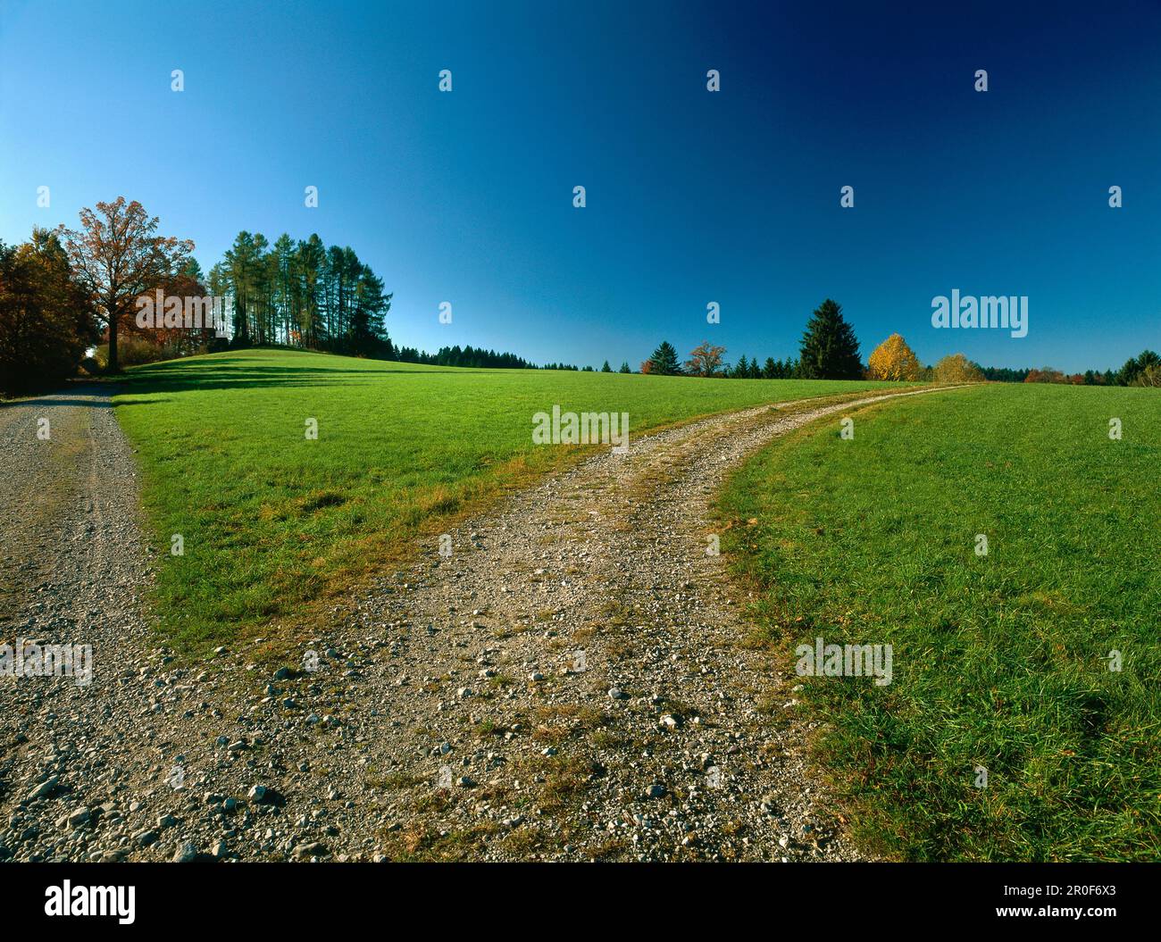 Paths through meadows, Werdenfelser Land, Upper Bavaria, Germany Stock ...