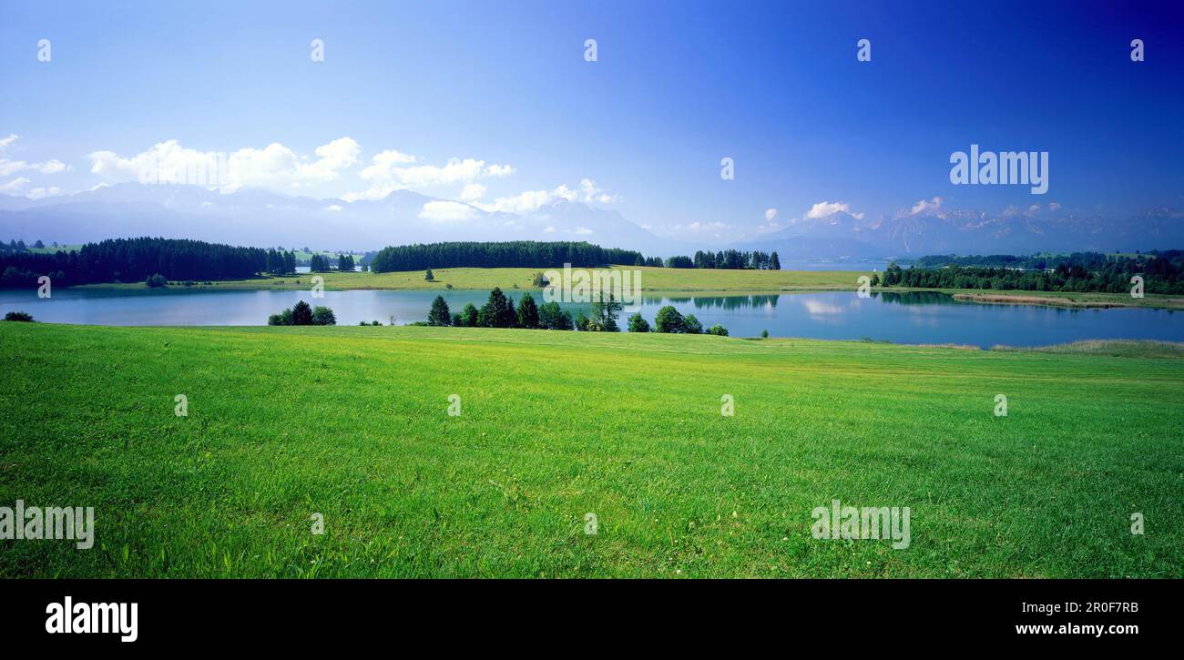 Panoramic scene lake forggensee hi-res stock photography and images - Alamy