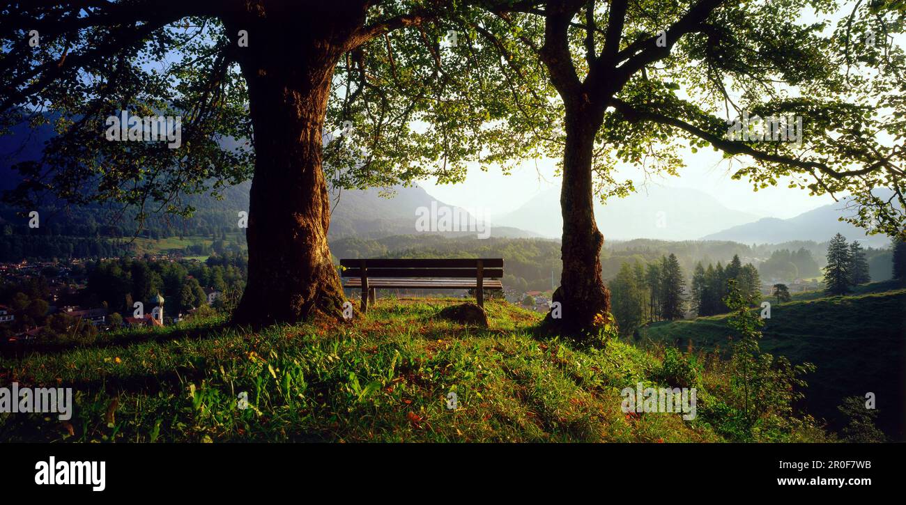 Upper optical bench hi-res stock photography and images - Alamy