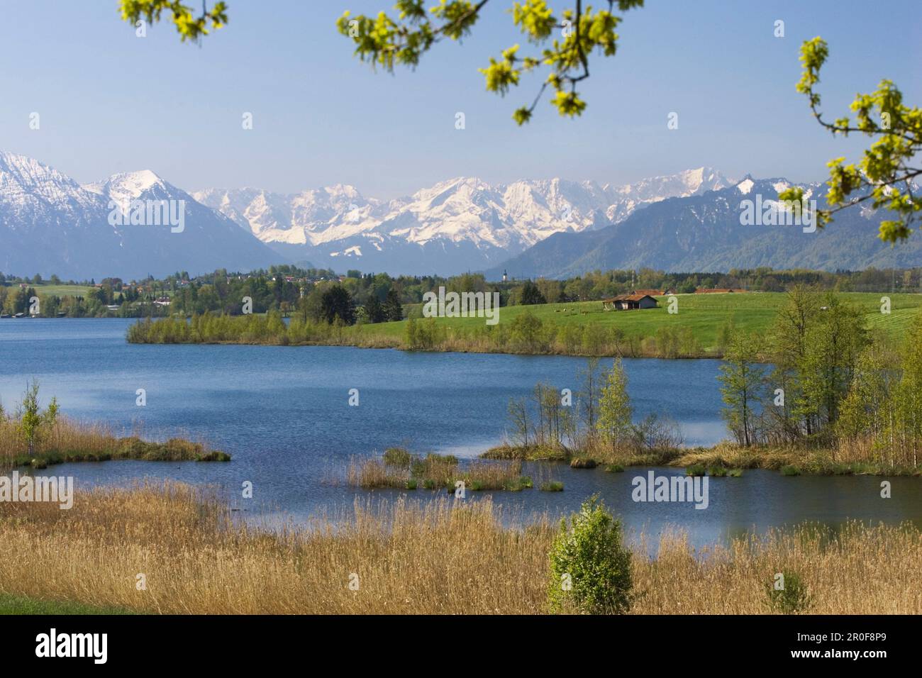 Lake Riegsee in front of Bavarian Alps, Upper Bavaria, Germany Stock ...