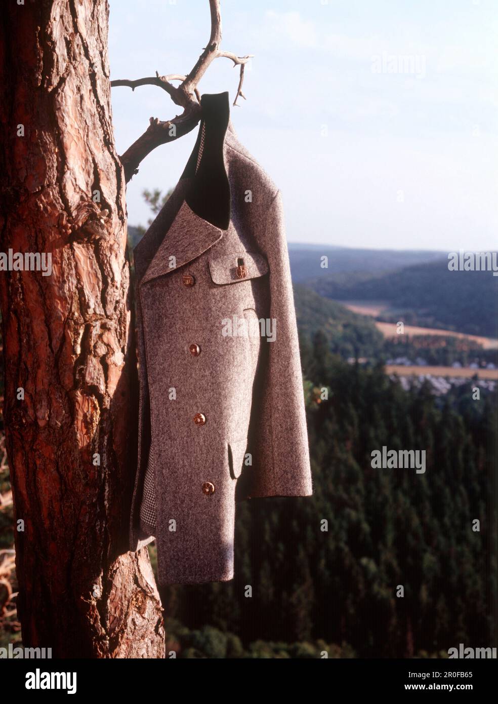 Traditional costume hanging at a branch, Germany, Eifel, Nideggen Stock ...