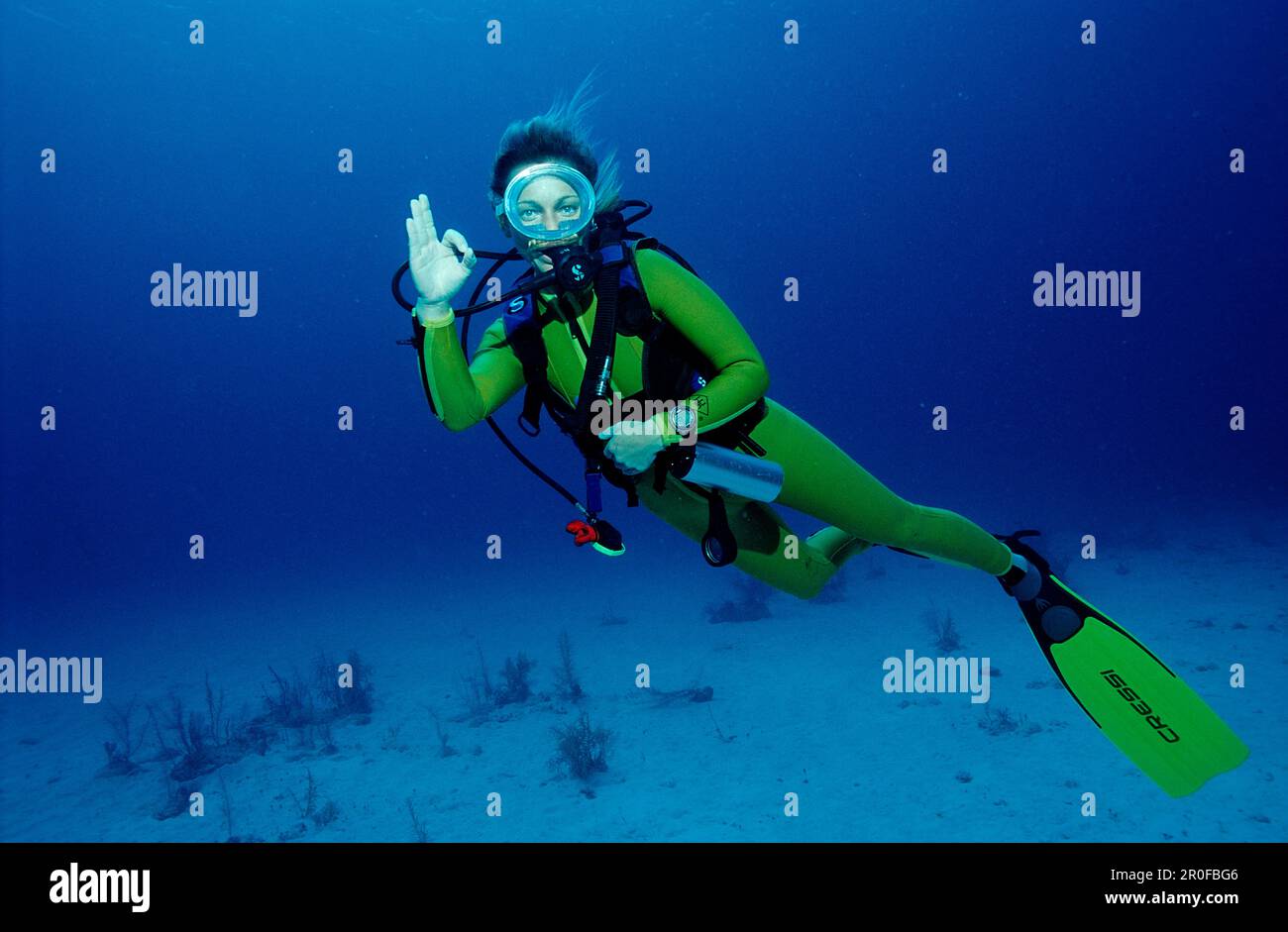 Scuba diver shows o.K. signal, Bahamas, Caribbean Sea, Grand Bahama ...