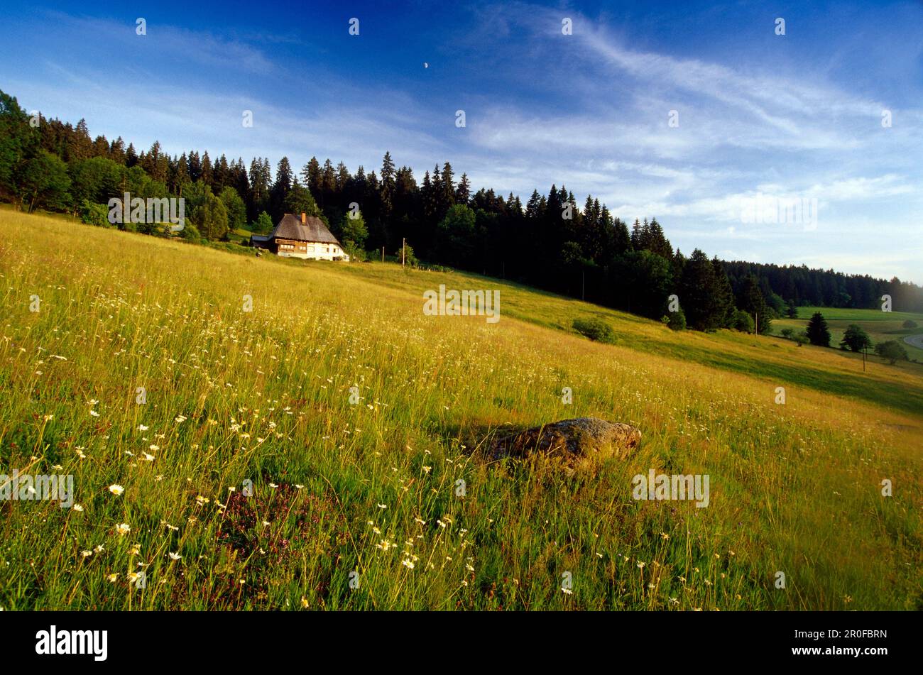 Black Forest House near Schoenwald, Black Forest, Baden-Wuerttemberg ...
