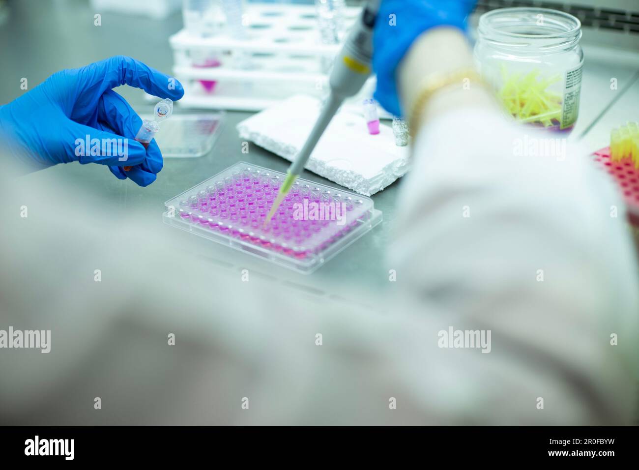 Cell culture media hi-res stock photography and images - Alamy