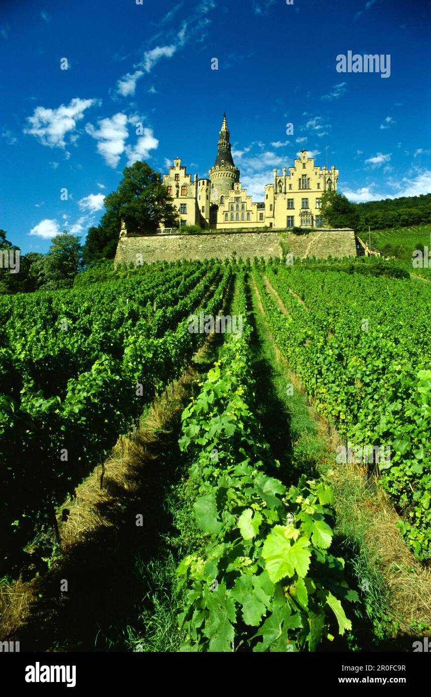 Palace arenfels hi-res stock photography and images - Alamy