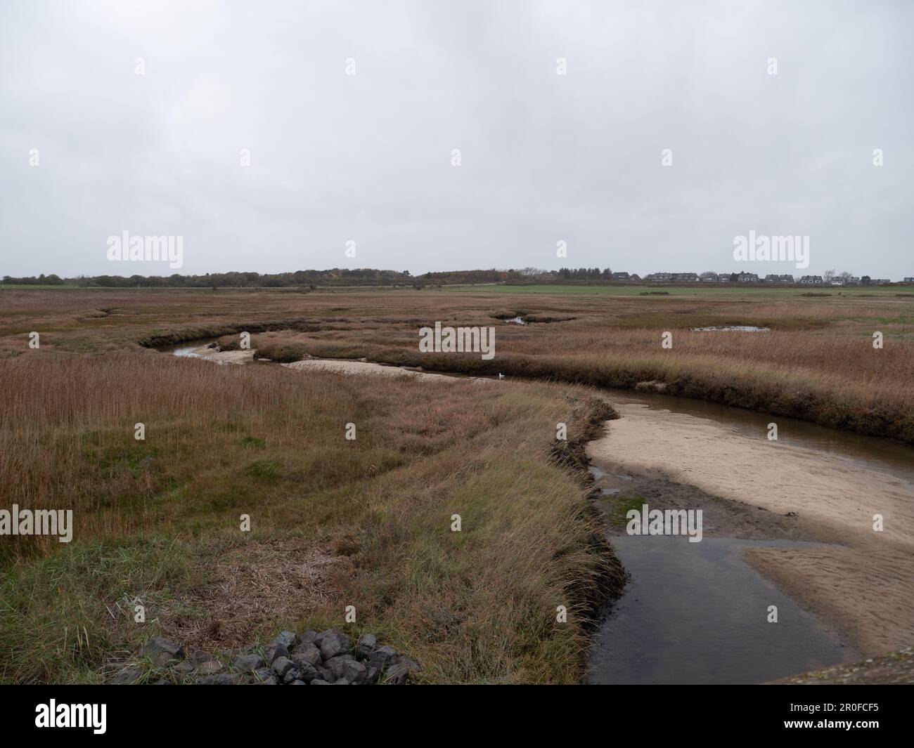 Swampy grass covered wetland hi-res stock photography and images - Alamy