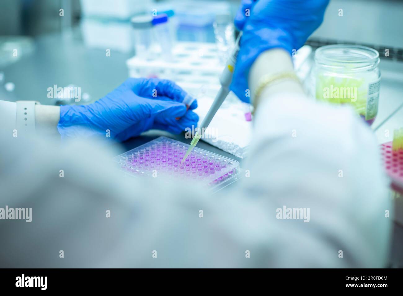 cell culture media Stock Photo - Alamy