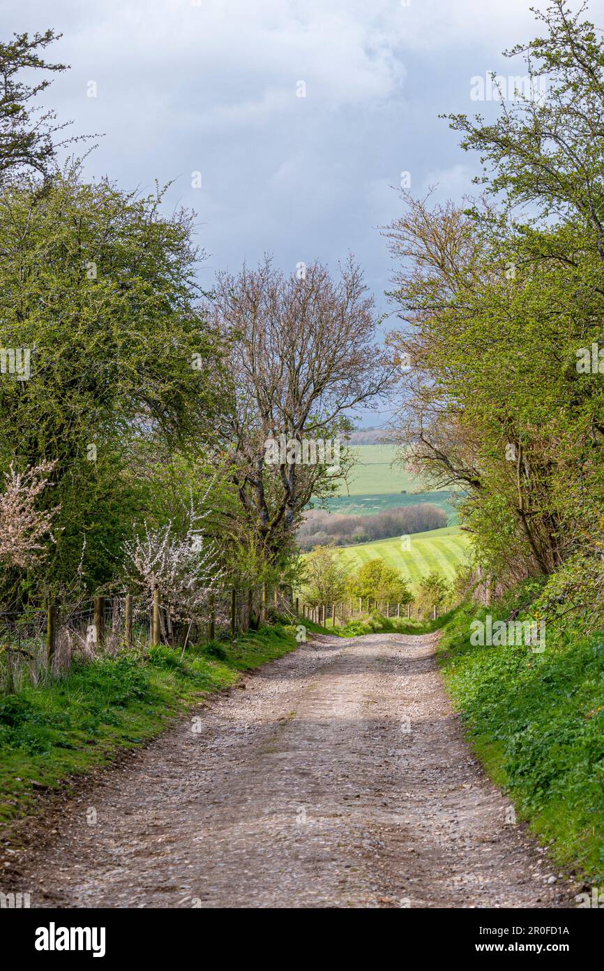 Chalk path on Church Hill in the South Downs National Park near Findon ...