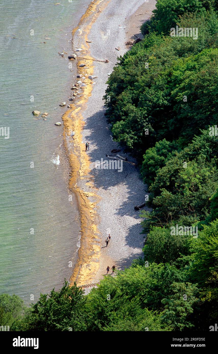 Water Shore, Jasmund Nationalpark, Ruegen Island, Germany Stock Photo ...
