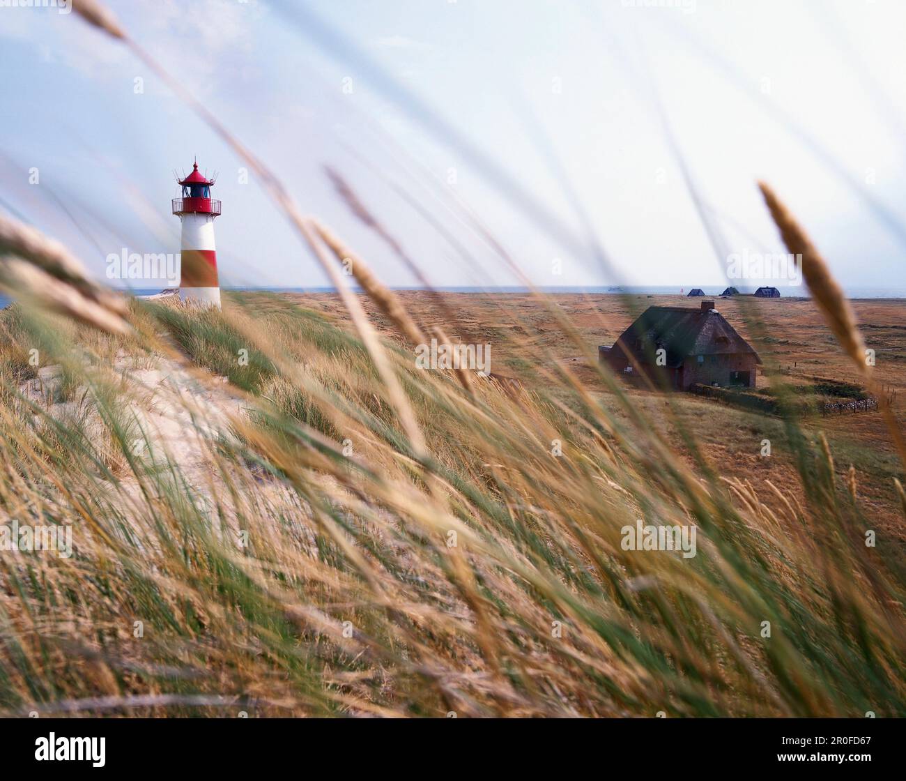 Lighthouse and barrier dunes, near List, Westerland, Sylt Island ...