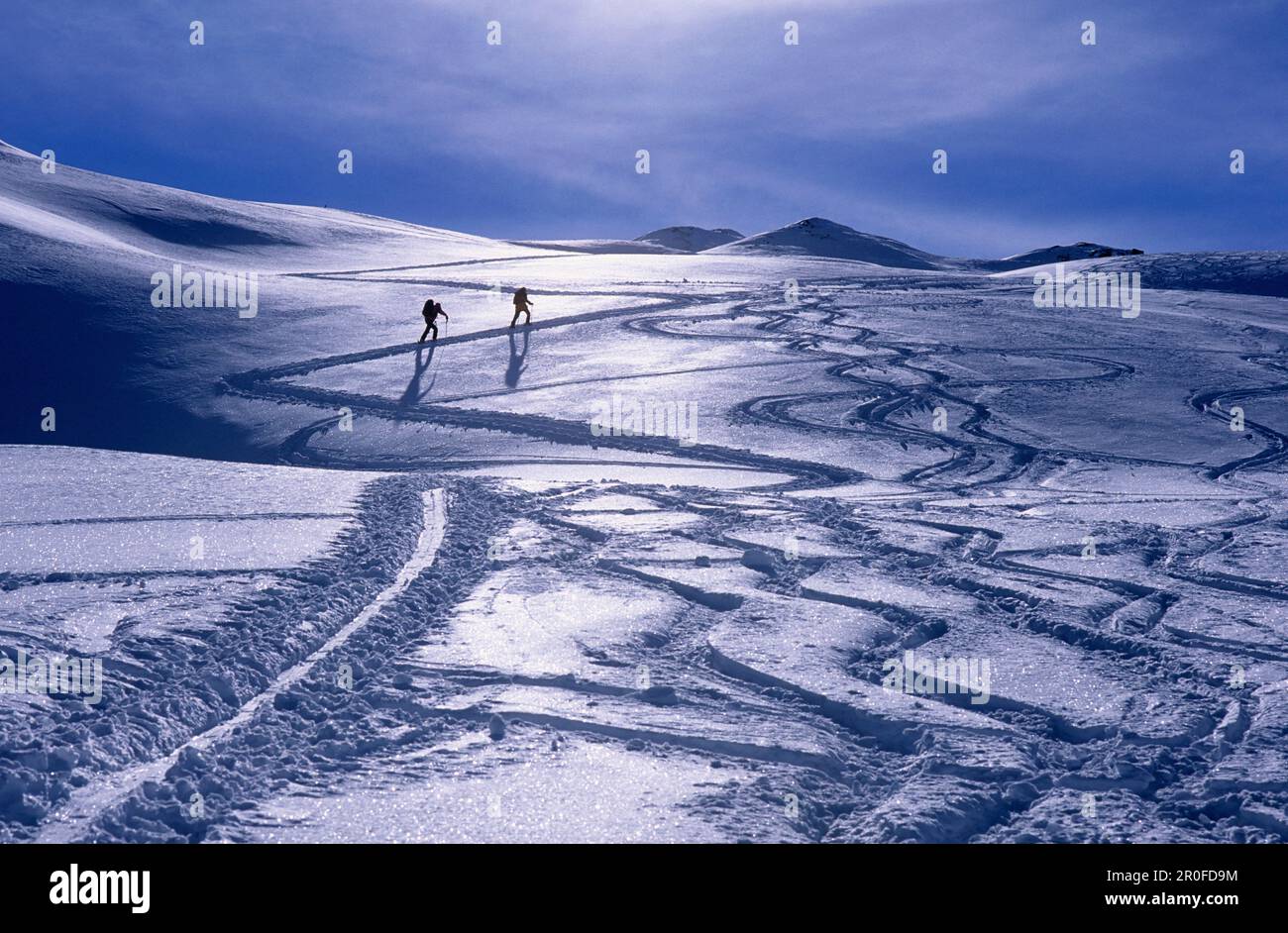 Two back country skiers, snow with ski tracks in backlight, Gilfert ...