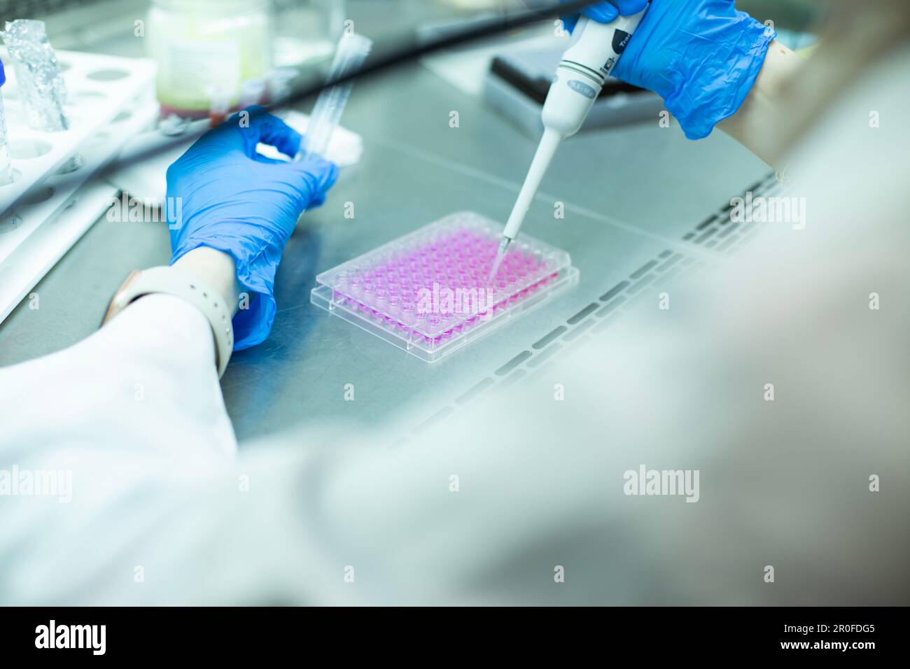 cell culture media Stock Photo - Alamy