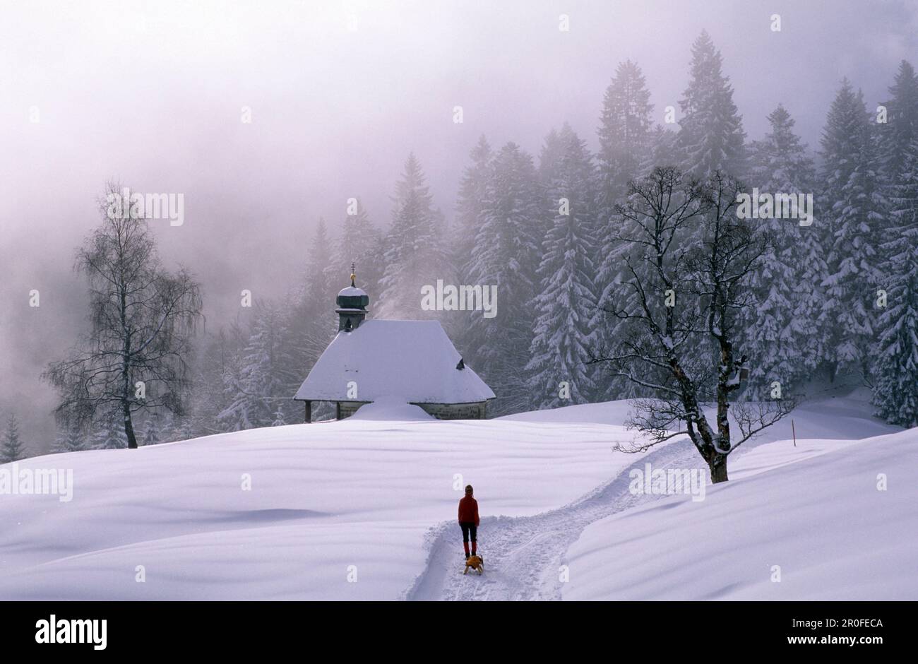 Sledging at Lustenauer Huette, Schwarzenberg, Bregenzer Wald ...