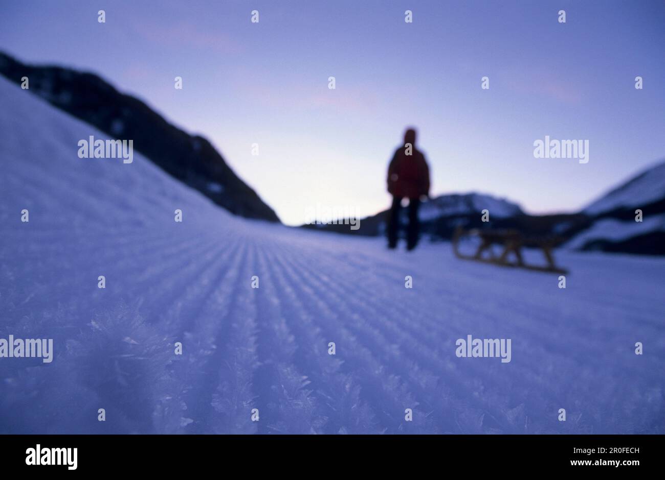 Sledging at Lisse, Au-Schoppernau, Bregenzer Wald, Vorarlberg, Austria ...