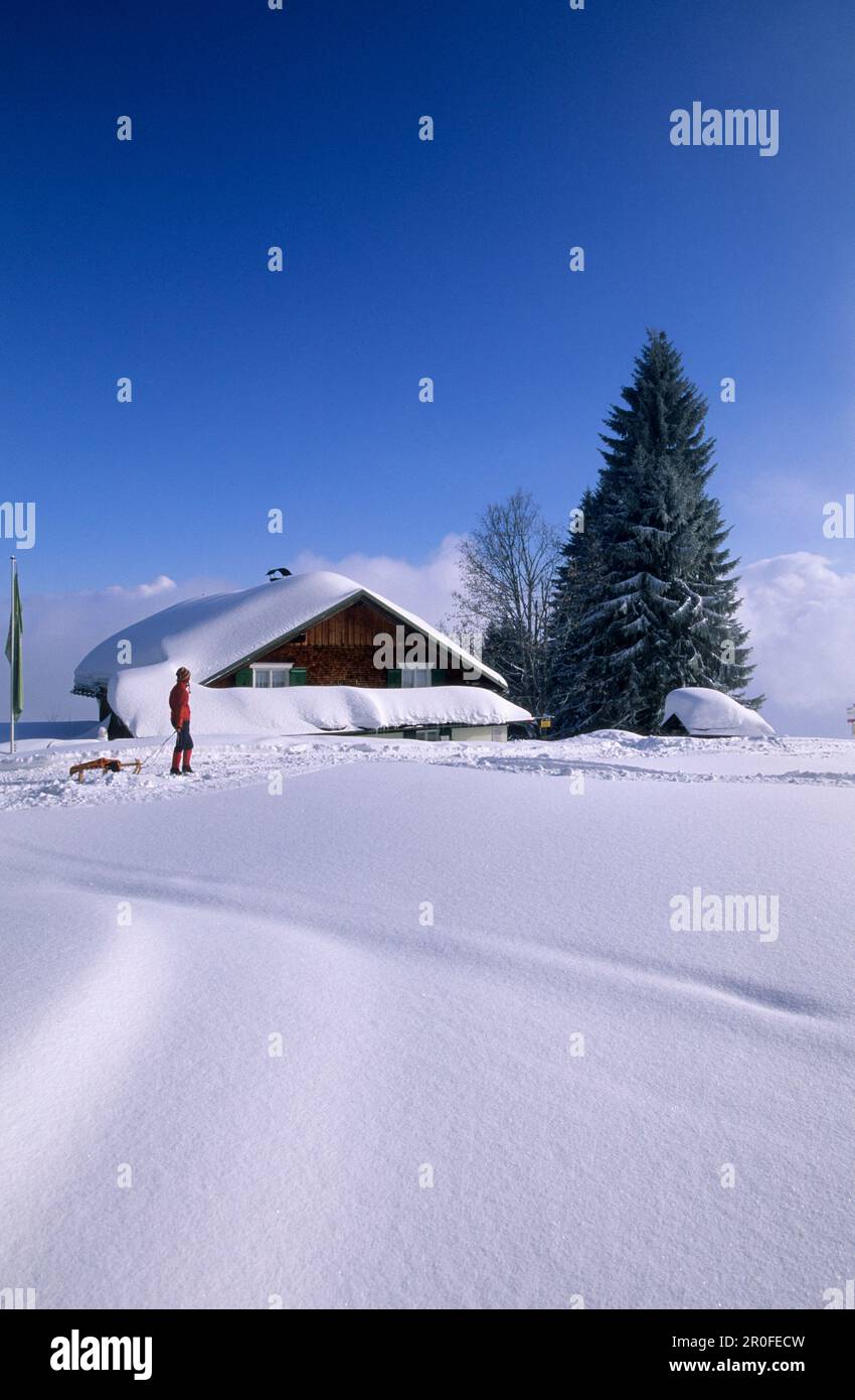 Sledging at Lustenauer Huette, Schwarzenberg, Bregenzer Wald ...