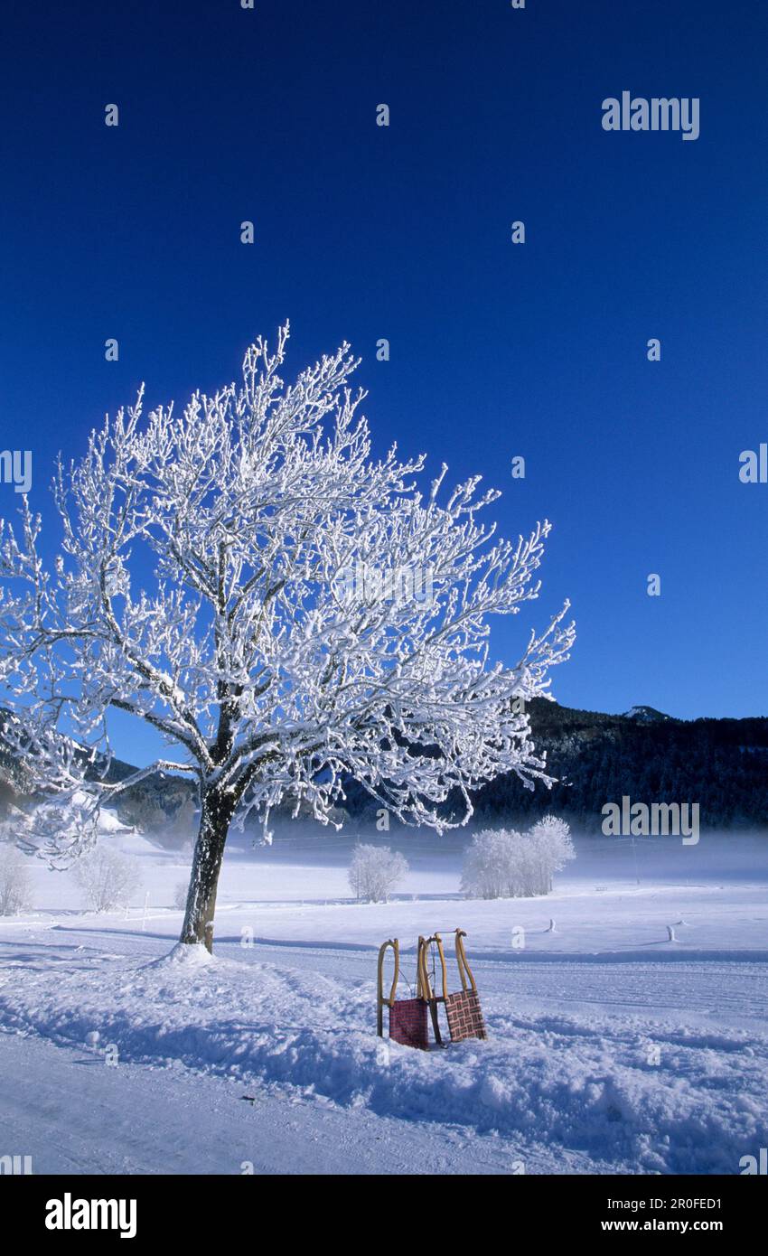 Bregenzer wald in winter hi-res stock photography and images - Alamy