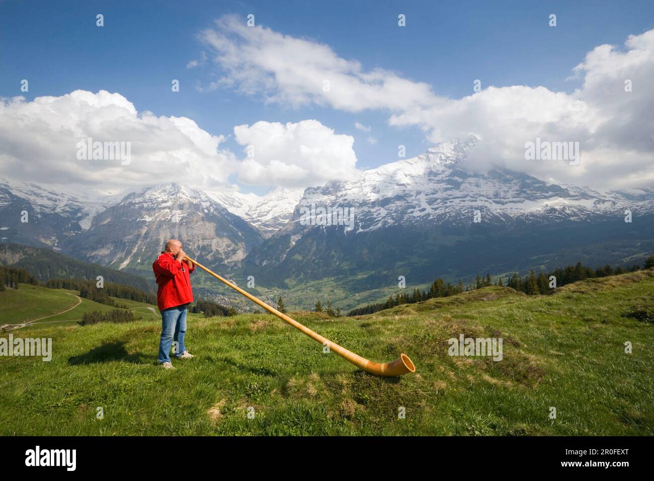 Man playing a alphorn at Bussalp (1800 m), Grindelwald, Bernese ...