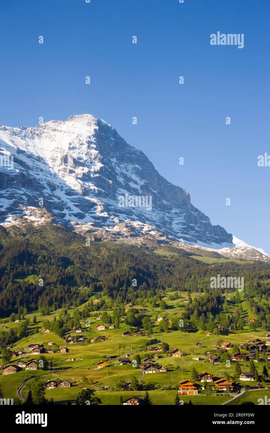 View over Grindelwald to Kleine Scheidegg and Eiger 3970 m, Grindelwald, Bernese Oberland ...