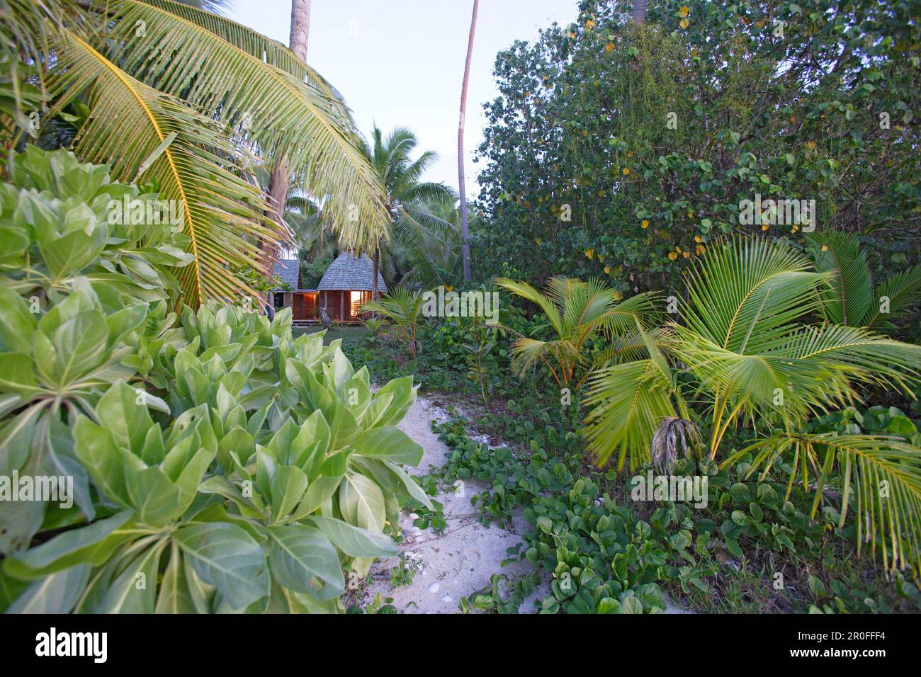 A traditional Fale at Fafa Island Resort, Tonga, South Seas Stock Photo ...