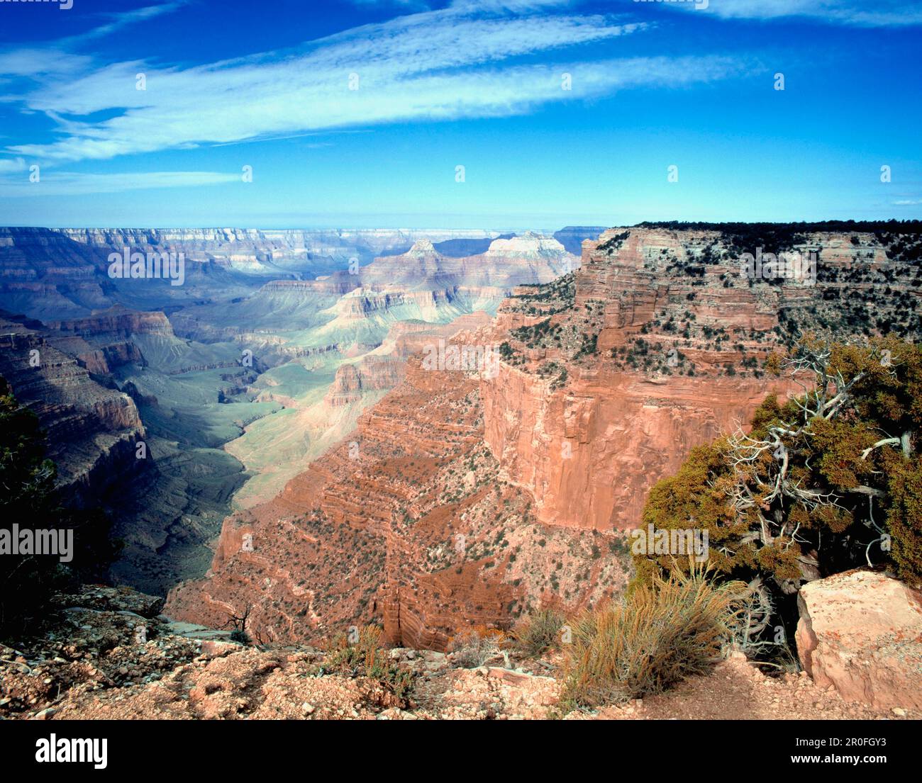 North Rim View Point, Cape Royal, Grand Canyon, Arizona, USA Stock ...