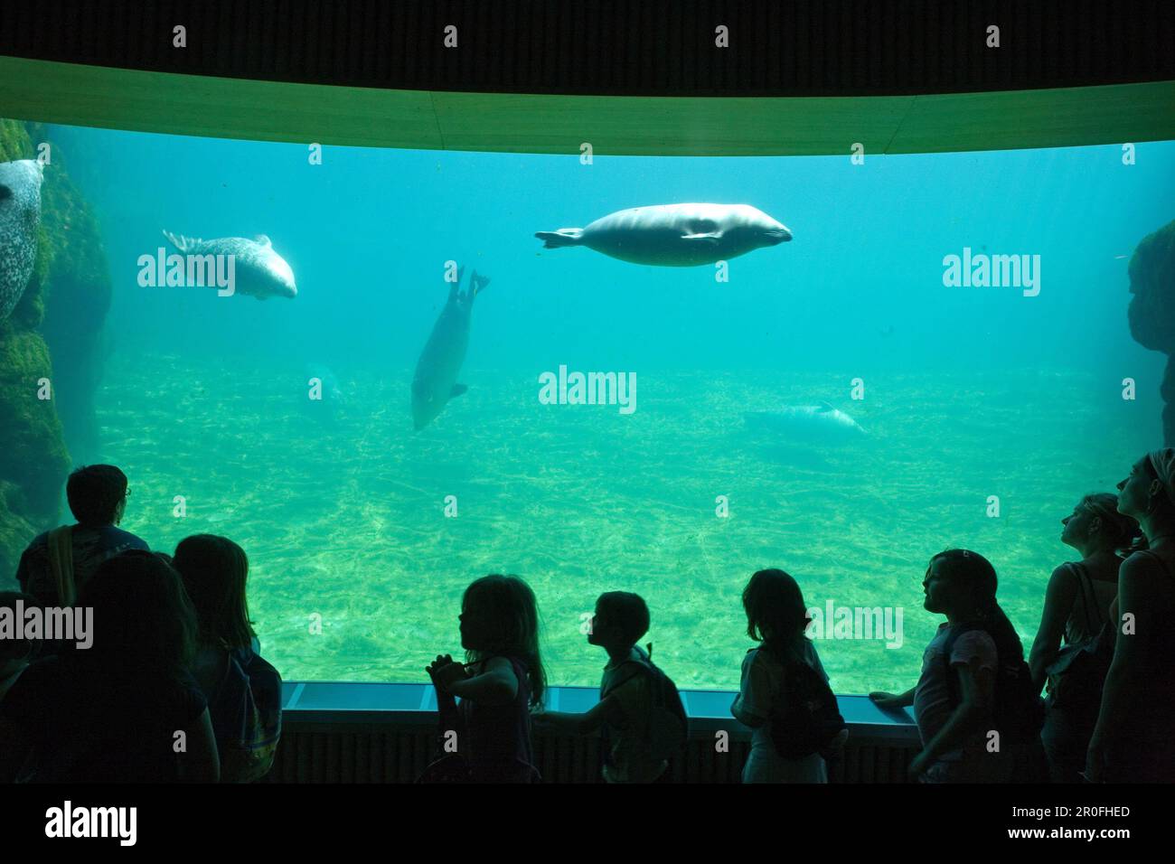 Building l'oceanografic view hi-res stock photography and images - Alamy