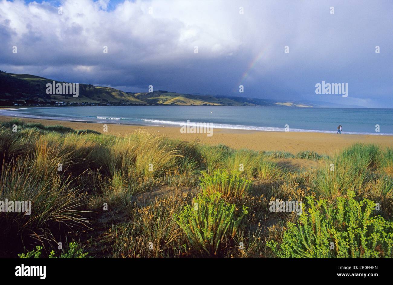 Beach in Appolo Bay, Great Ocean Road, Victoria, Australia Stock Photo ...