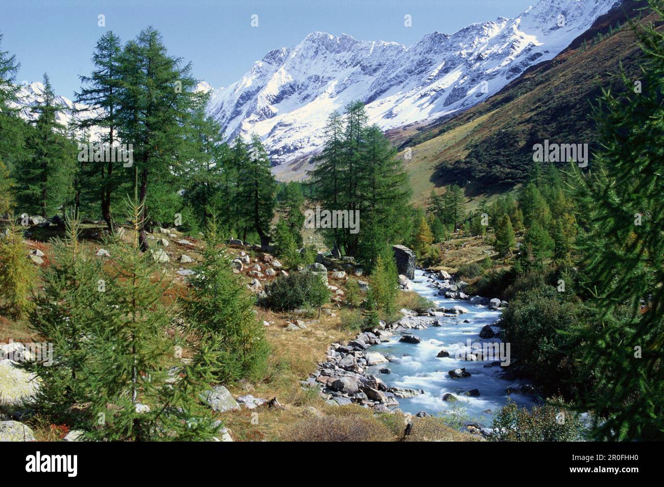 Lonza river, Loeschental valley, Valais, Switzerland Stock Photo - Alamy