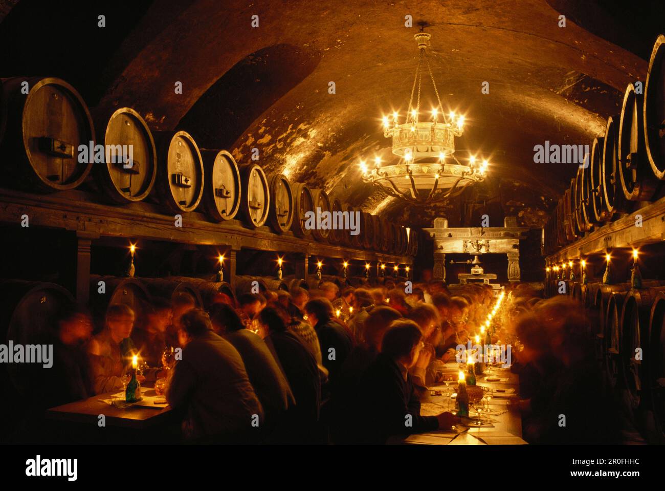 Guests in wine cellar of the Residence, Wuerzburg, Bavaria, Germany ...