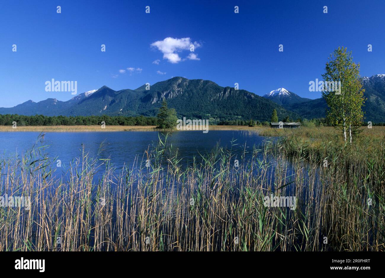 View over lake to mount Herzogstand, Murnauer Moos, Murnau, Upper ...