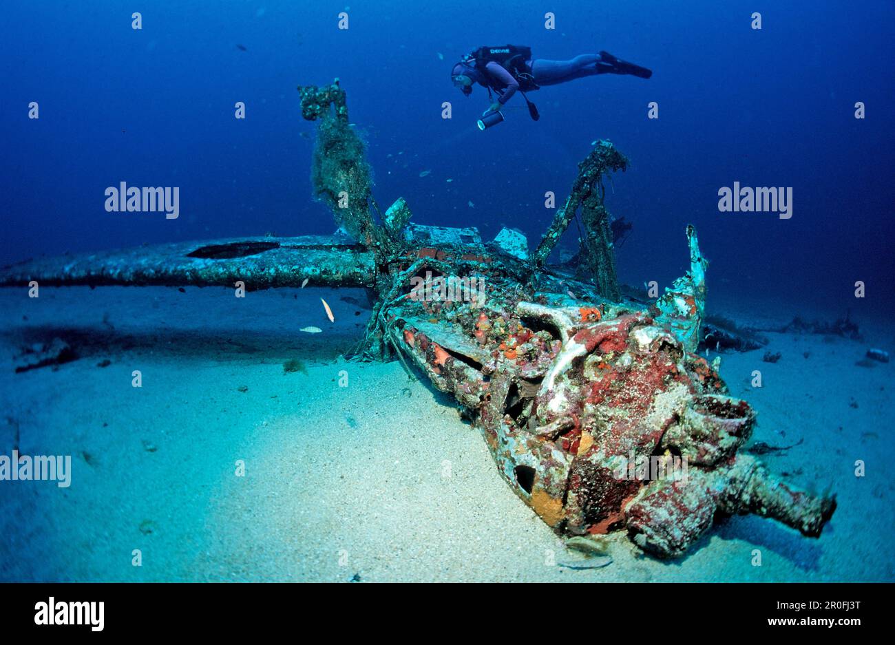 German diver hi-res stock photography and images - Alamy