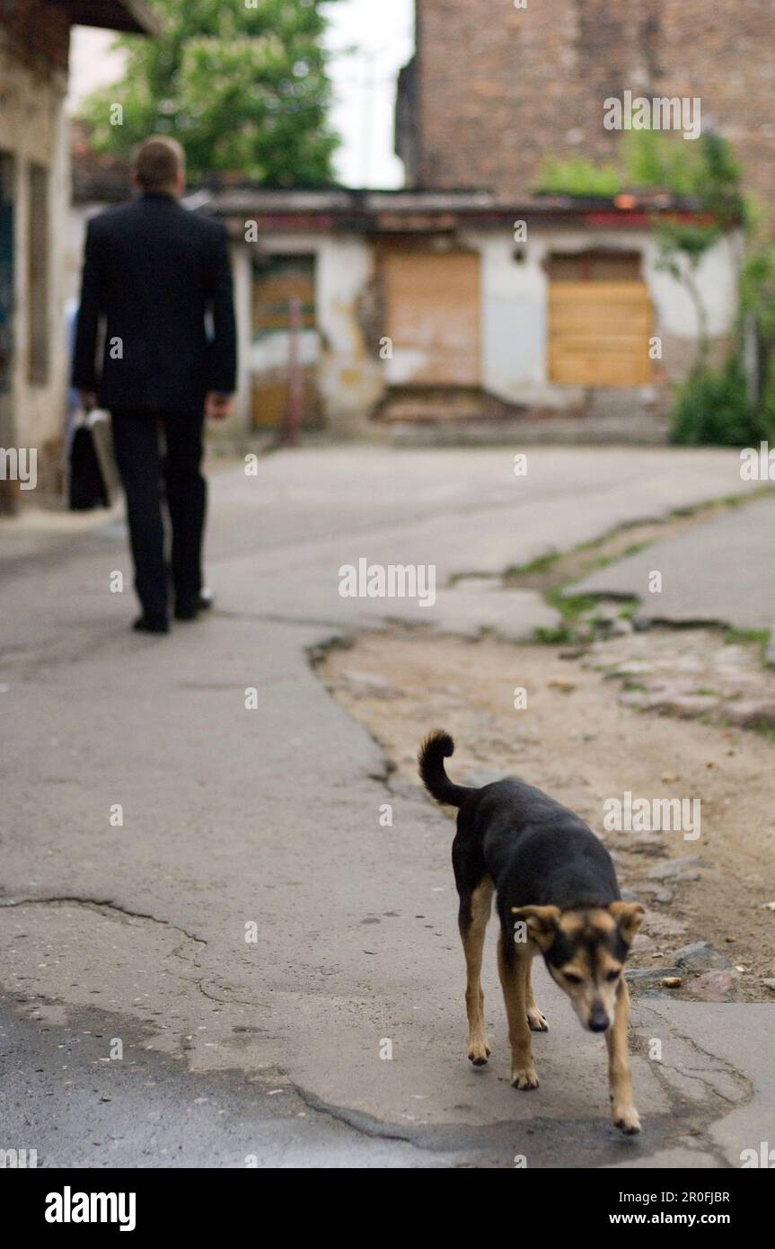 Poland man dog hi-res stock photography and images - Alamy