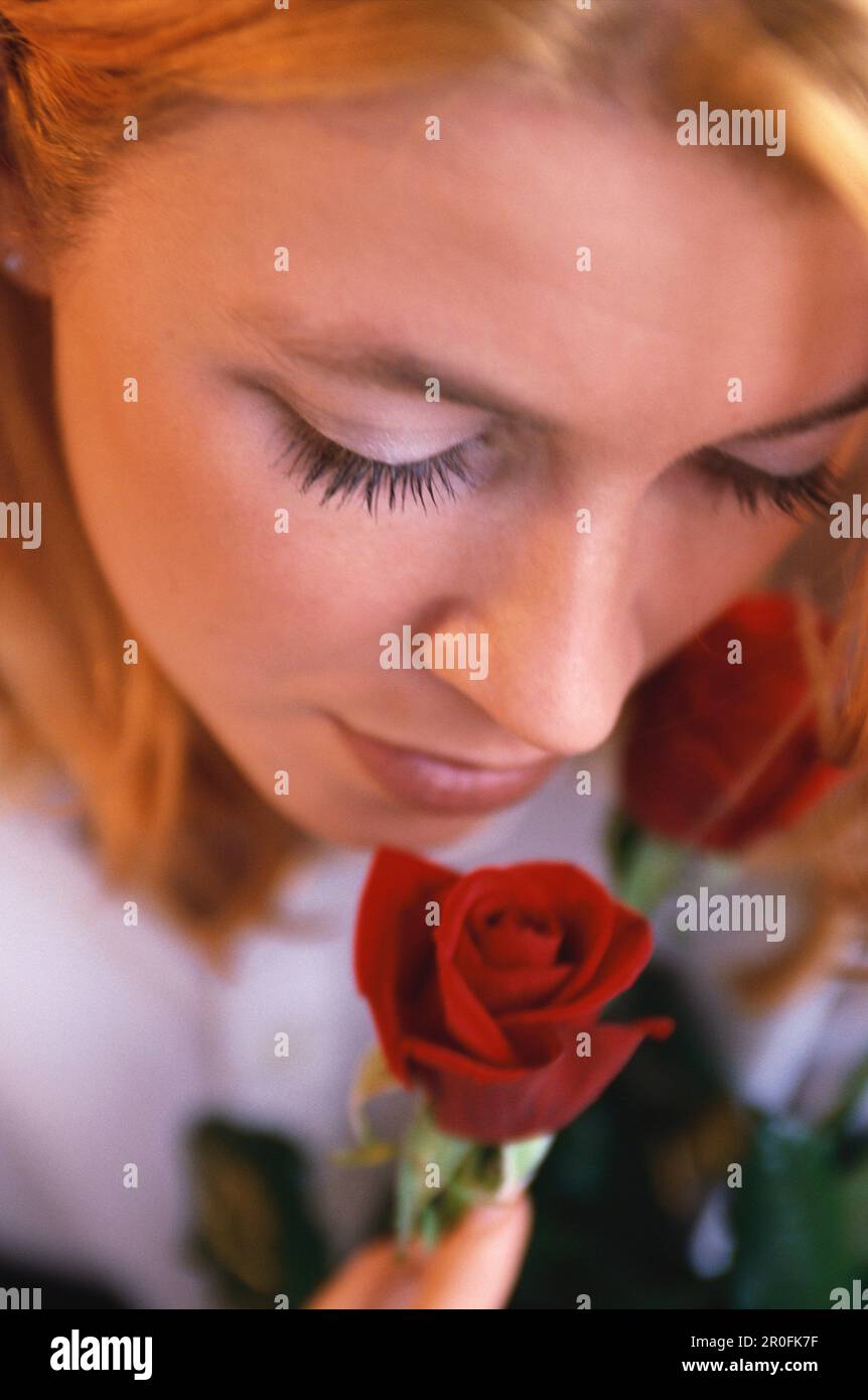Portrait of a woman smelling a rose, Beauty Stock Photo - Alamy