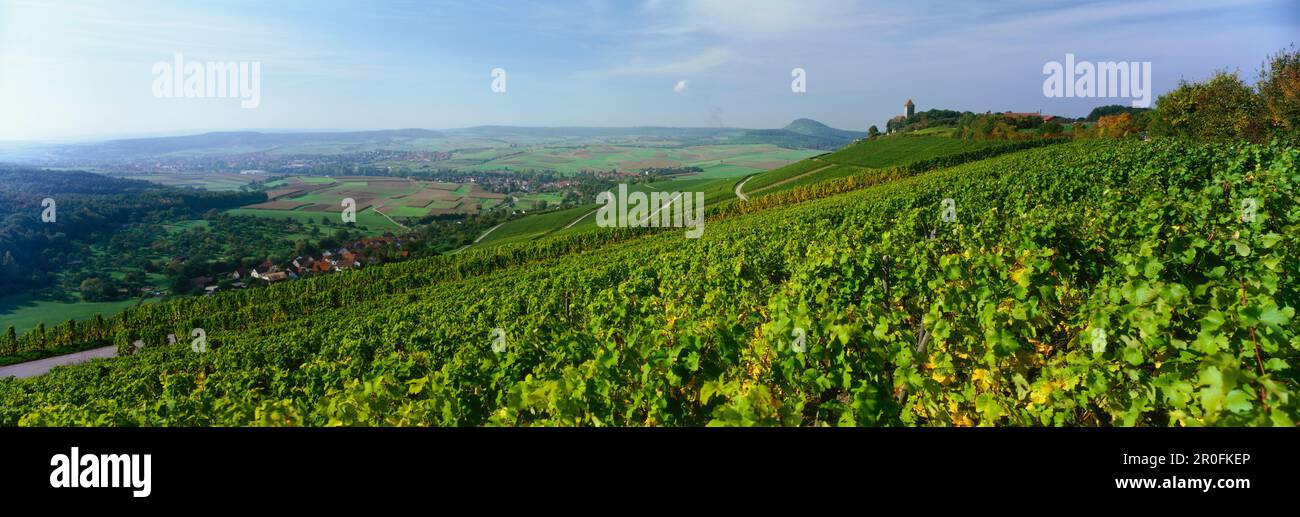 Castle Lichtenberg with vineyards, Oberstenfeld, Baden-Württemberg ...