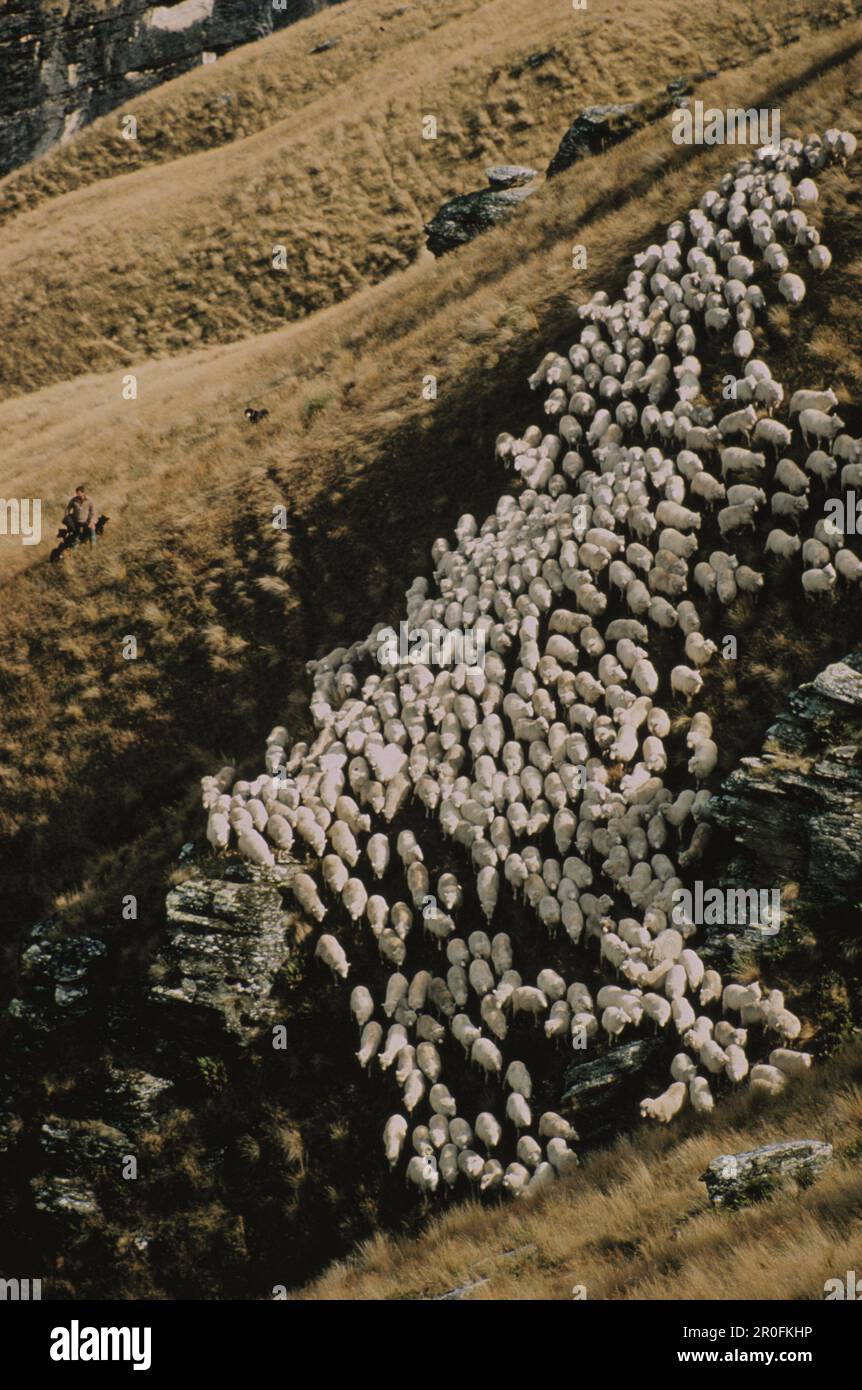 Garvie mountains hi-res stock photography and images - Alamy