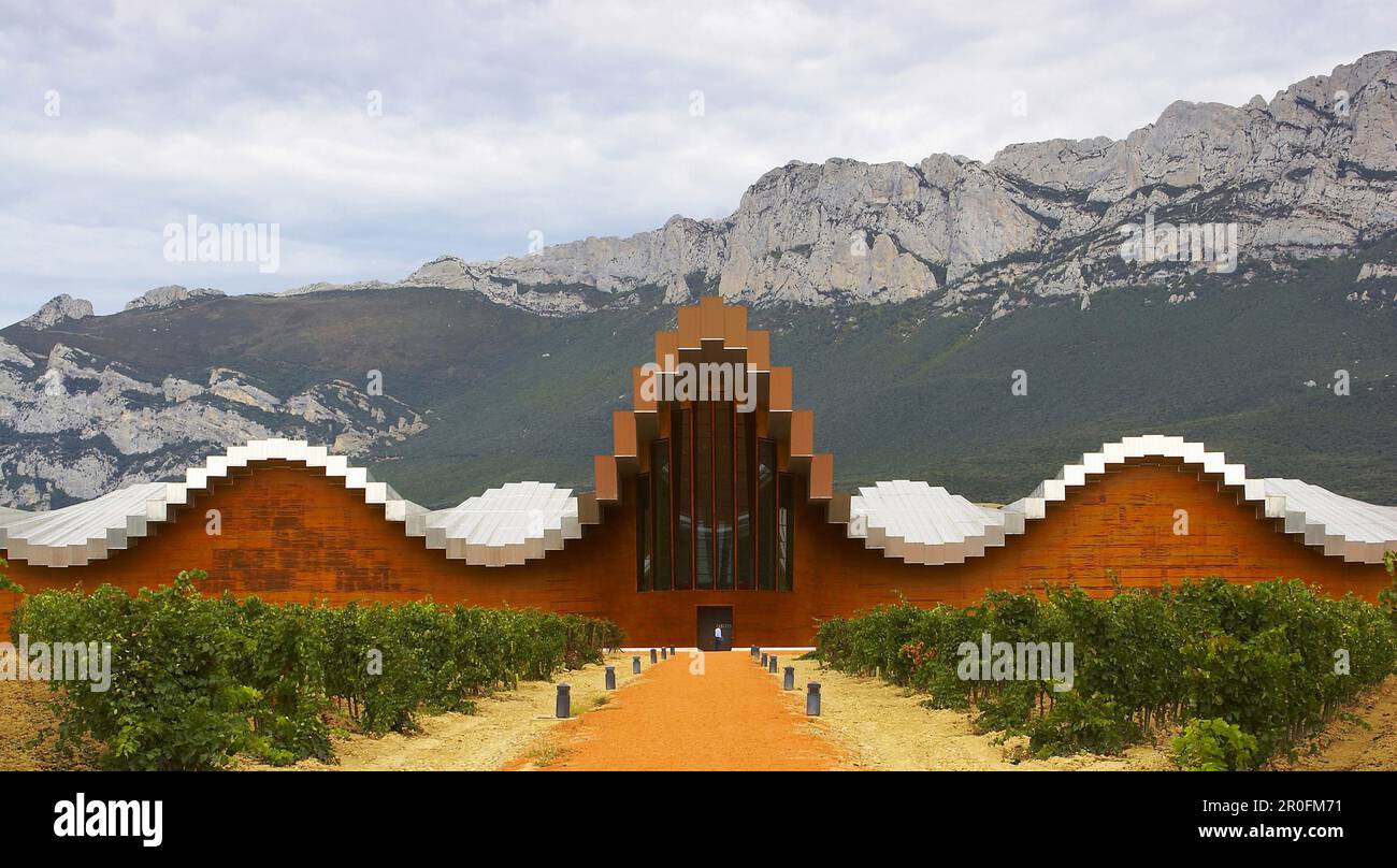 Bodegas Ysios from architect Santiago Calatrava, near Laguardia, País ...