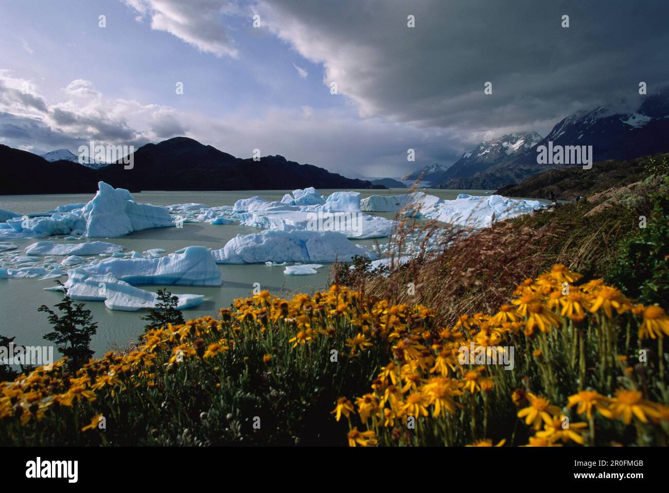 Lago del Grey, Torres del Paine National Park, Patagonia, Chile Stock ...