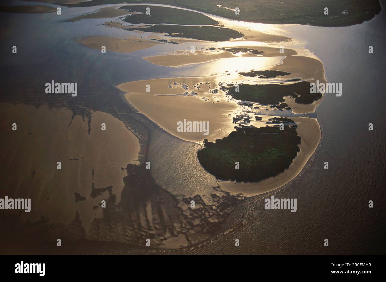 Aerial Photo, Delta of Rio Parana, Estuary in the Rio de la Plata ...