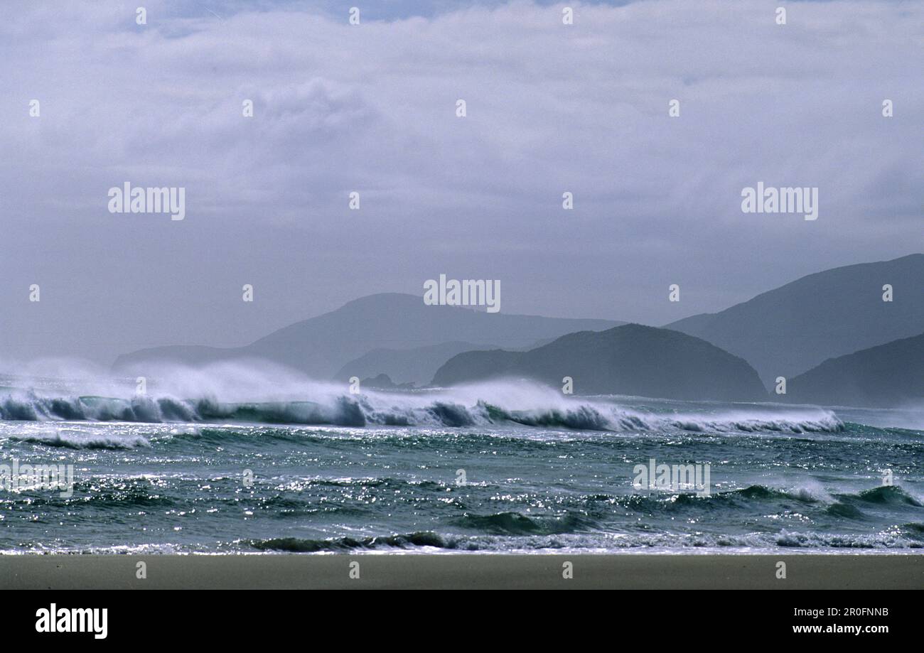 Surf at Mason Bay, Codfisch Island in the background, Steward Island ...