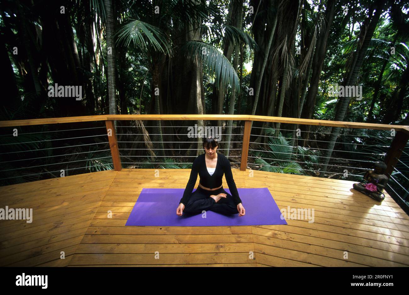 Australian gymnastics hi-res stock photography and images - Alamy