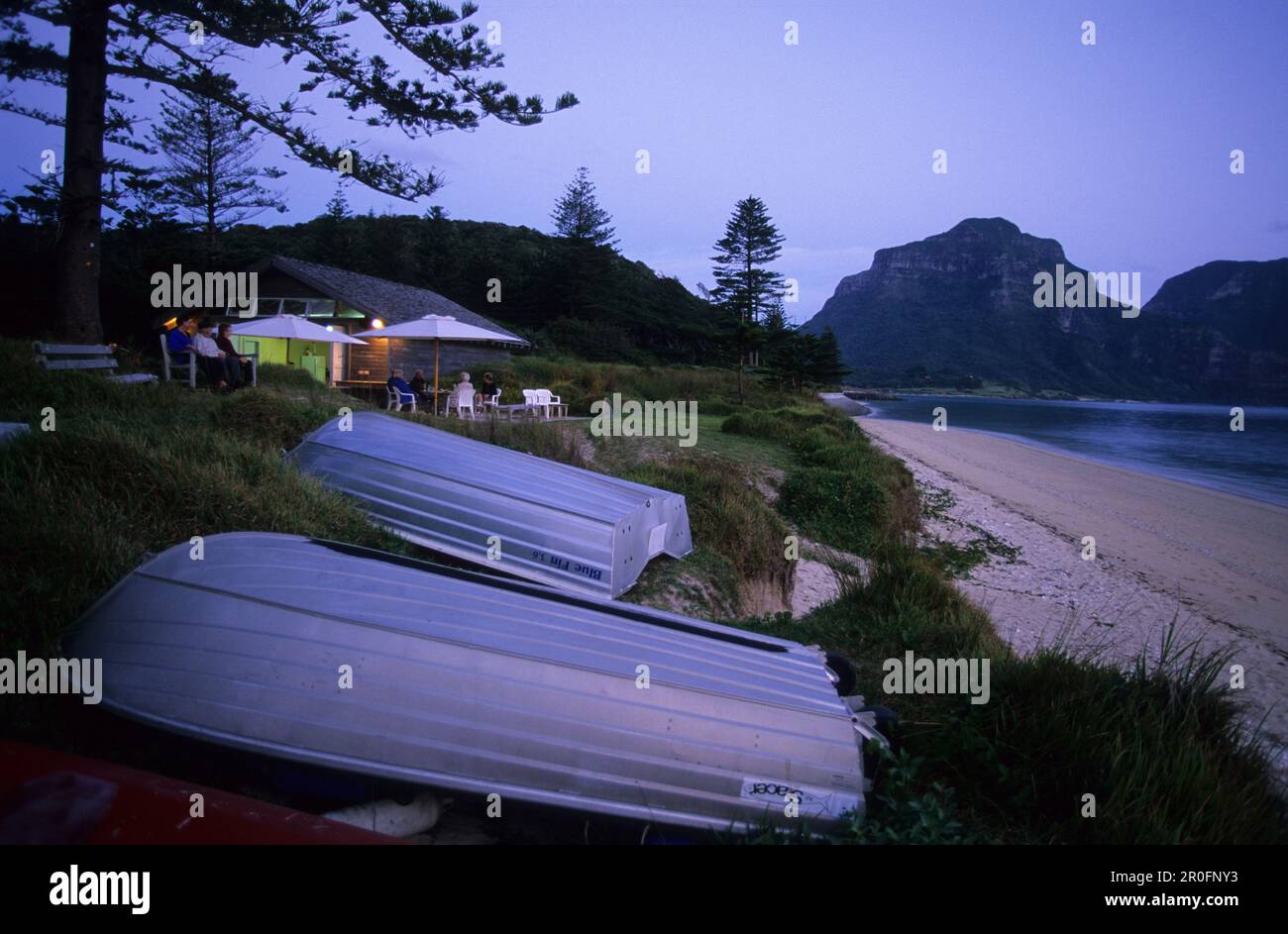 Lord howe island pine trees hi-res stock photography and images - Alamy