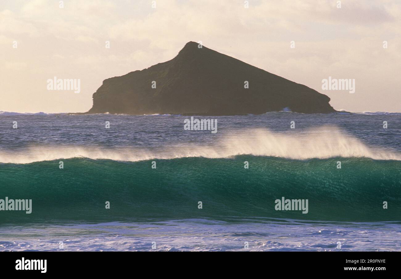 View over the ocean at Mutton Bird Island, Lord Howe Island, Australia ...