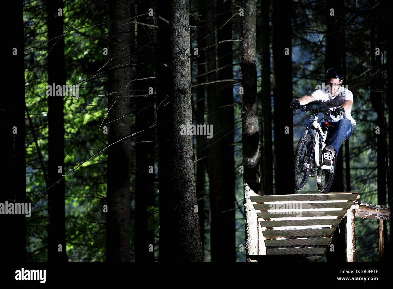 Mountain biker riding over a ramp in a forest, Oberammergau, Bavaria ...