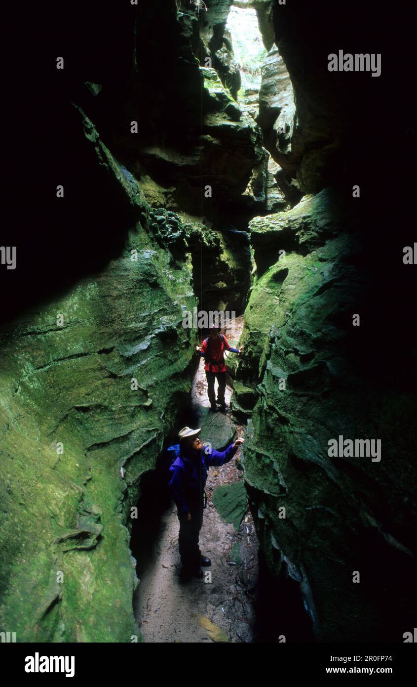 Two people canyoning in Wolgan View Canyon, Newnes State Forest, New ...