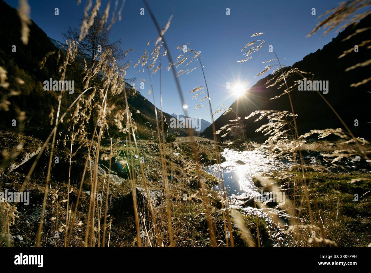 Knutten hi-res stock photography and images - Alamy